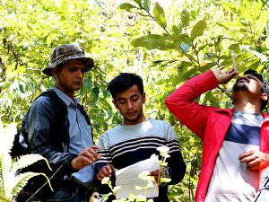 Home - Kathmandu Forestry College